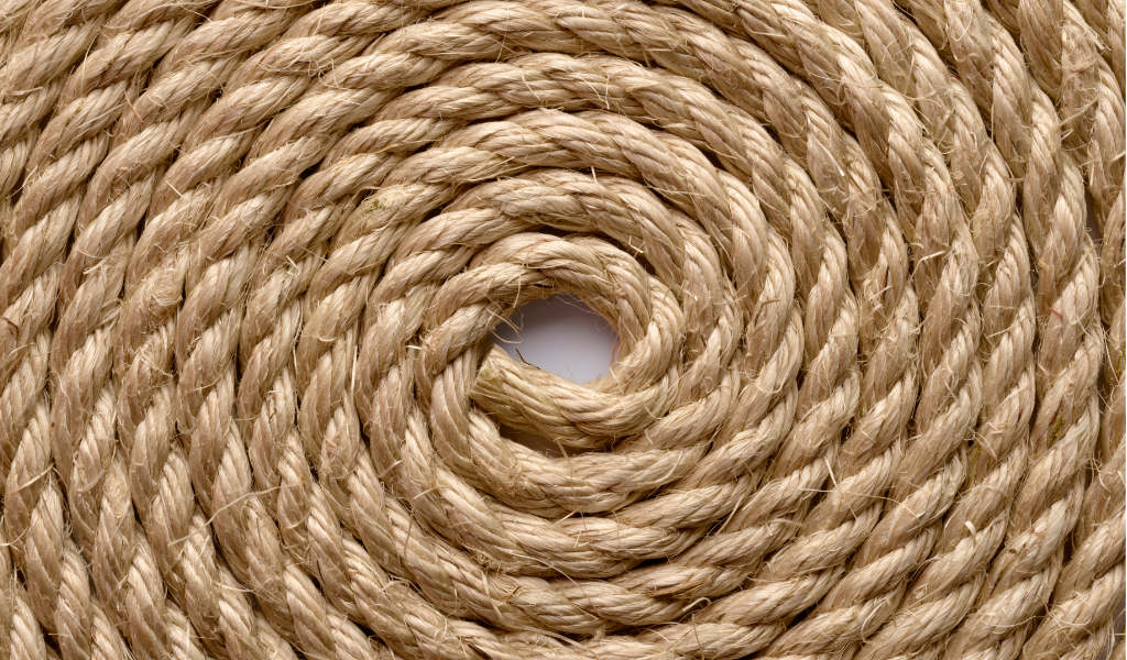 Sisal: un material natural y biodegradable de México - VITRUM Mexico